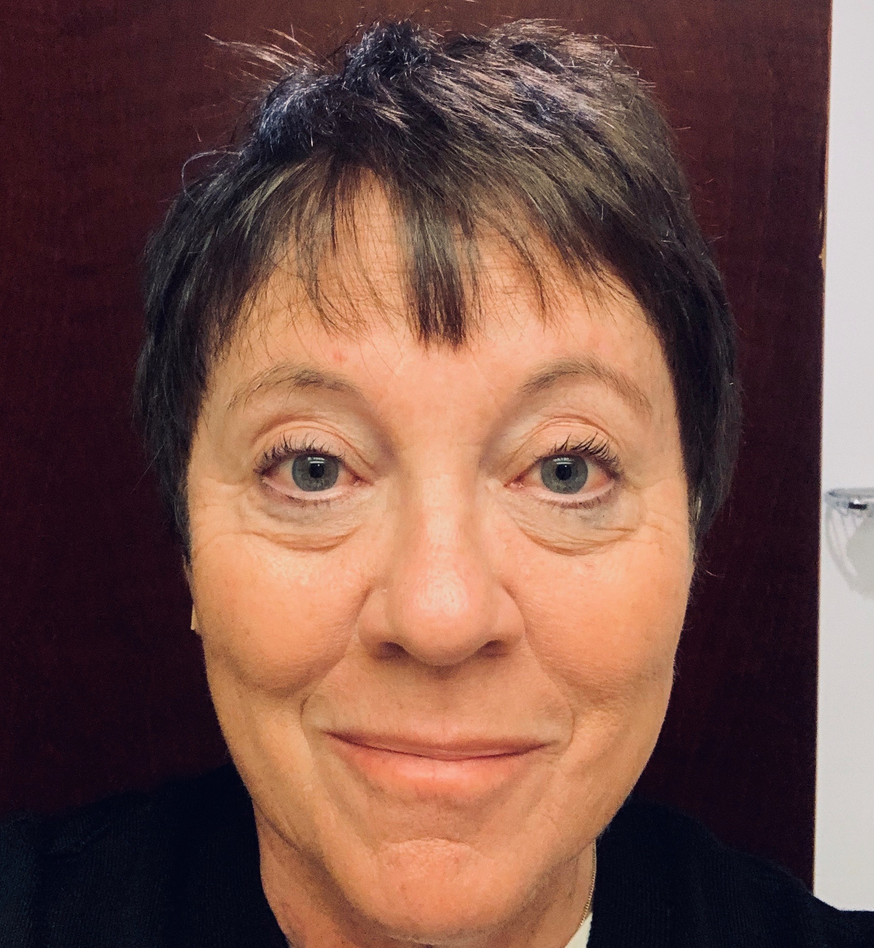 Lisa Goldfarb - The Center for Guided Montessori Studies